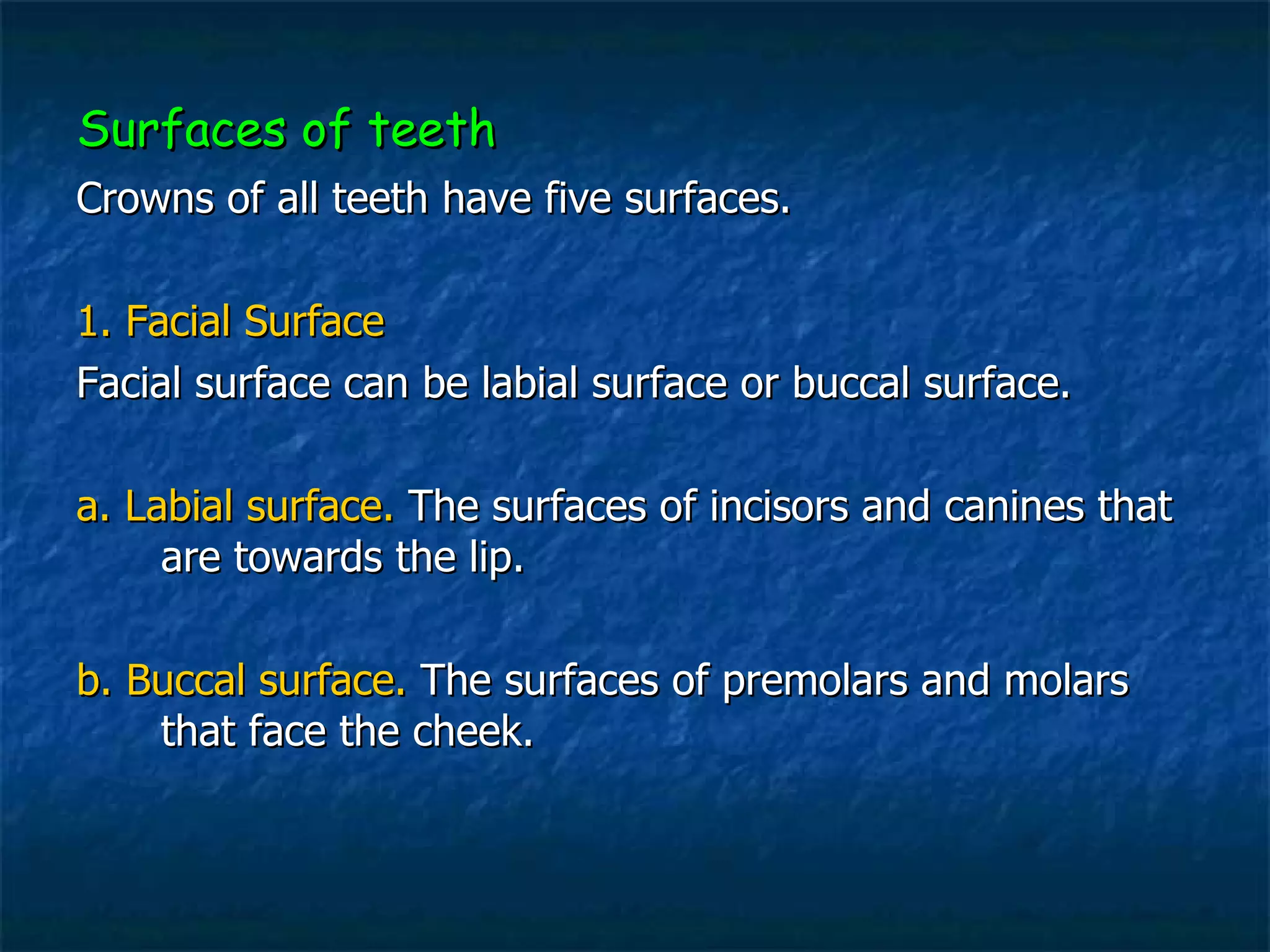 Dental Terminology | PPT