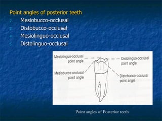 Dental Terminology | PPT