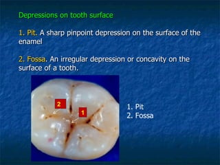 Dental Terminology | PPT