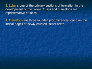 Dental Terminology | PPT