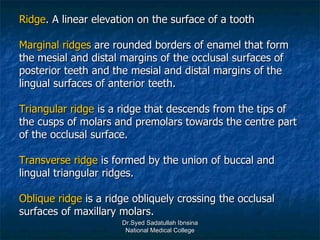 Dental Terminology | PPT