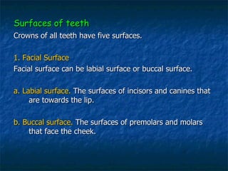 Dental Terminology | PPT