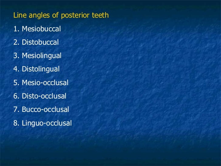 Dental Terminology