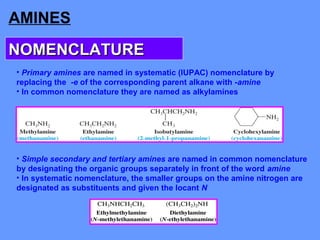 Nomenclature | PPT | Chemistry | Science