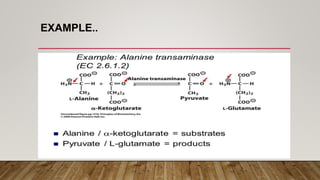 Nomenclature and Classification of enzyme | PPTX