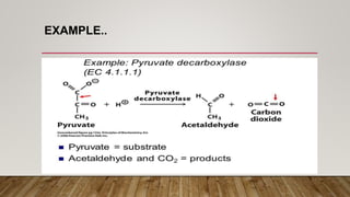 Nomenclature and Classification of enzyme | PPTX