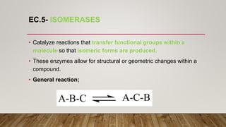 Nomenclature and Classification of enzyme | PPTX