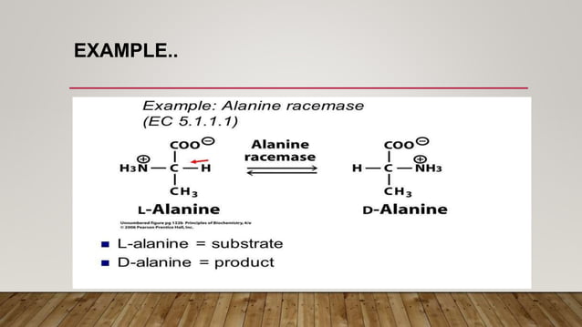 Nomenclature and Classification of enzyme | PPTX | Chemistry | Science