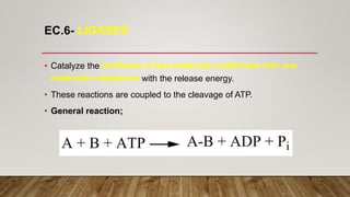Nomenclature and Classification of enzyme | PPTX