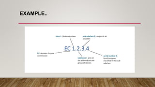 Nomenclature and Classification of enzyme | PPTX