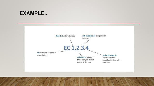 Nomenclature and Classification of enzyme | PPTX | Chemistry | Science
