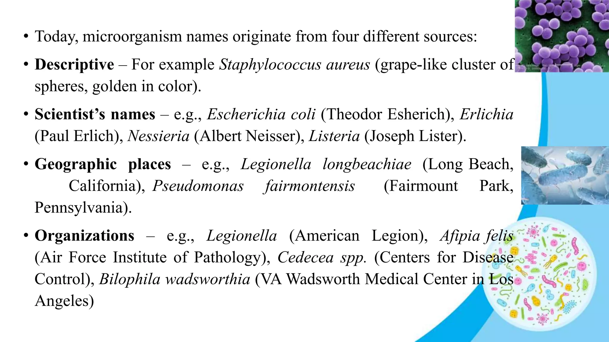 Nomenclature and classification of microorganisms | PPTX