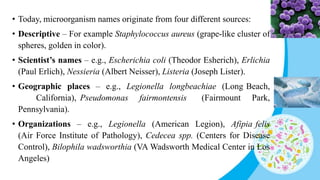 Nomenclature and classification of microorganisms | PPTX
