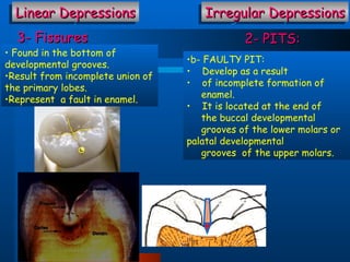 nomenclature and tooth numbering system.ppt