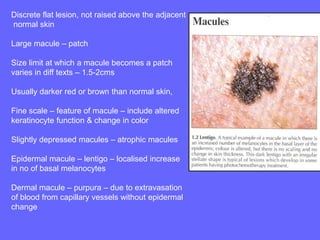 Nomenclature Basic Lesional Morphology.ppt