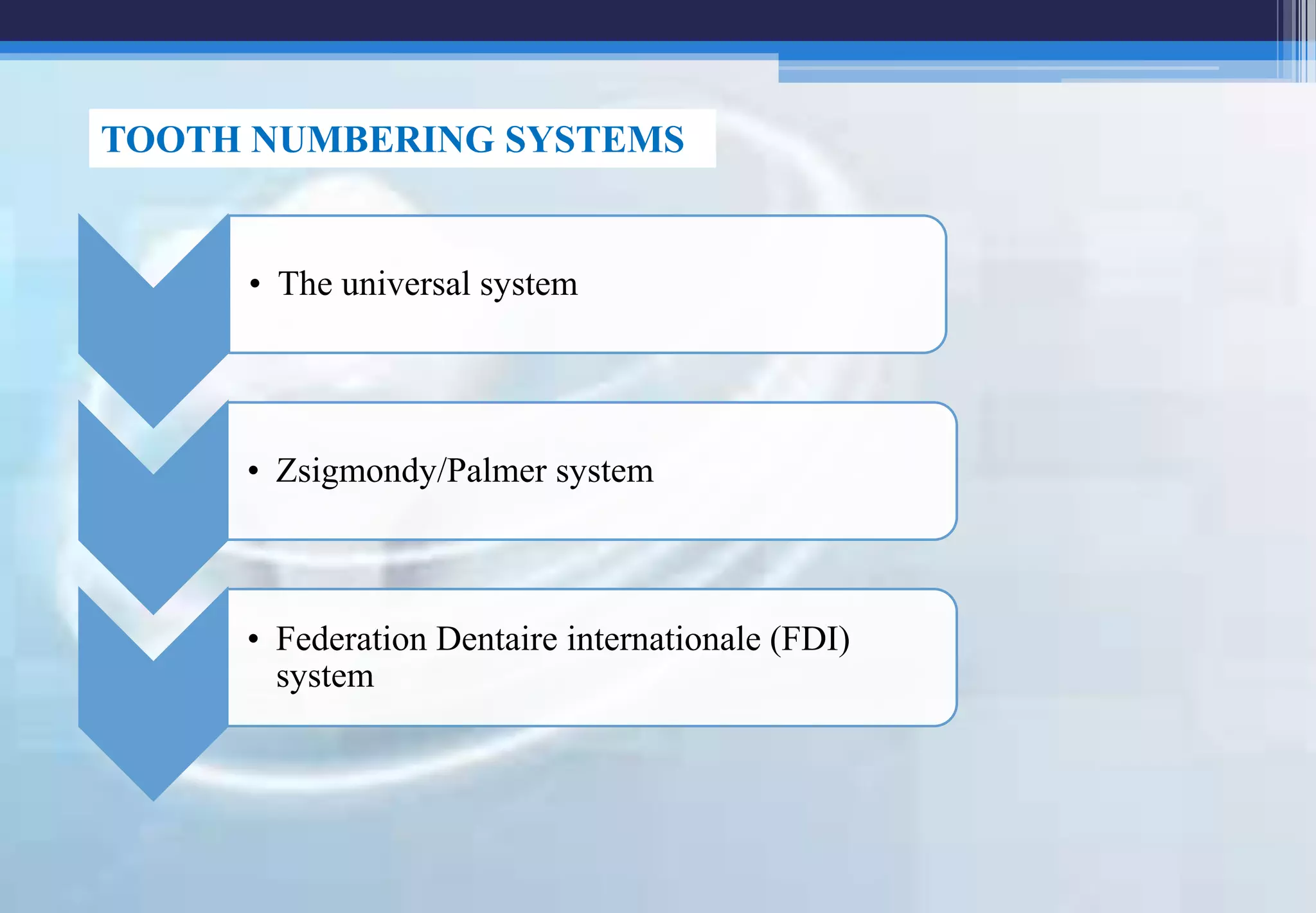 Nomenclature, eruption and shedding of teeth.pptx