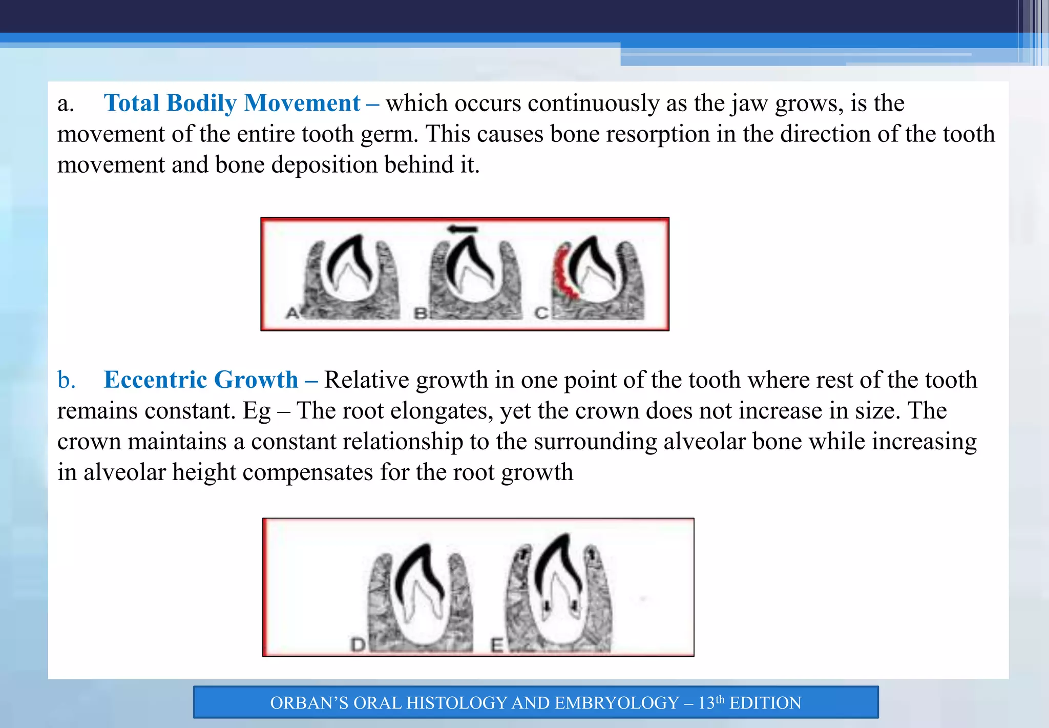 Nomenclature, eruption and shedding of teeth.pptx