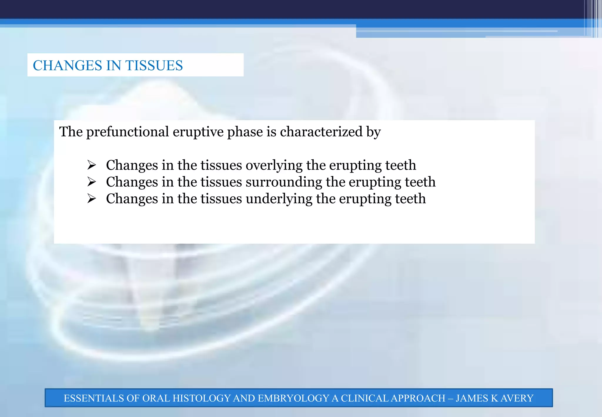 Nomenclature, eruption and shedding of teeth.pptx