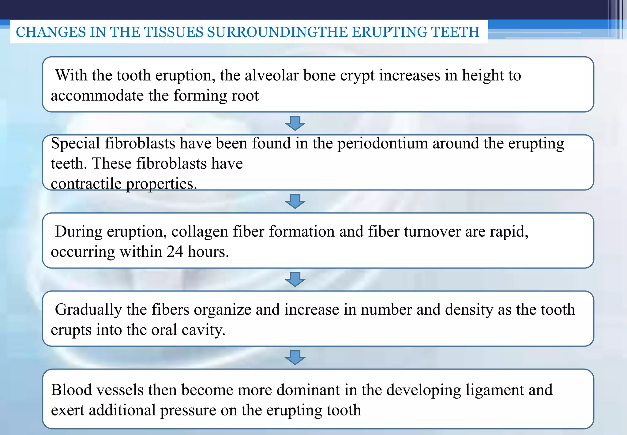 Nomenclature, eruption and shedding of teeth.pptx