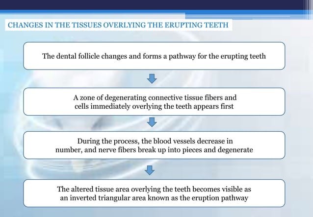 Nomenclature, eruption and shedding of teeth.pptx