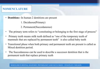 Nomenclature, eruption and shedding of teeth.pptx