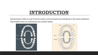 Nomenclature in operative dentistry | PPTX