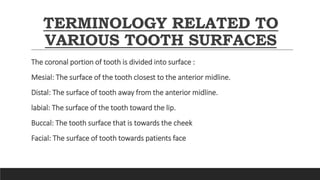 Nomenclature in operative dentistry | PPTX