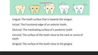 Nomenclature in operative dentistry | PPTX
