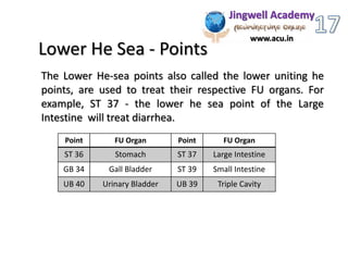 Nomenclature of acu points | PPTX