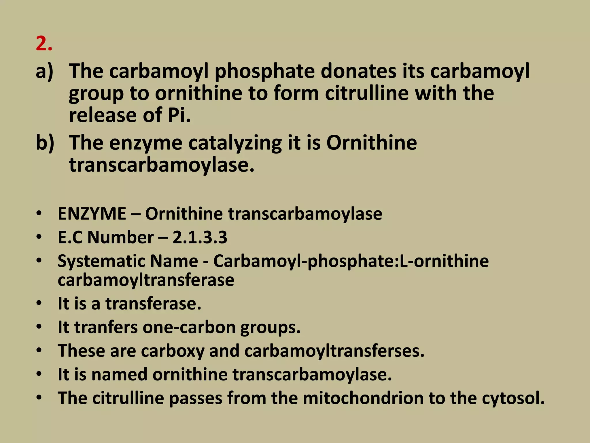 Enzymes involved in UREA CYCLE | PPTX | Chemistry | Science