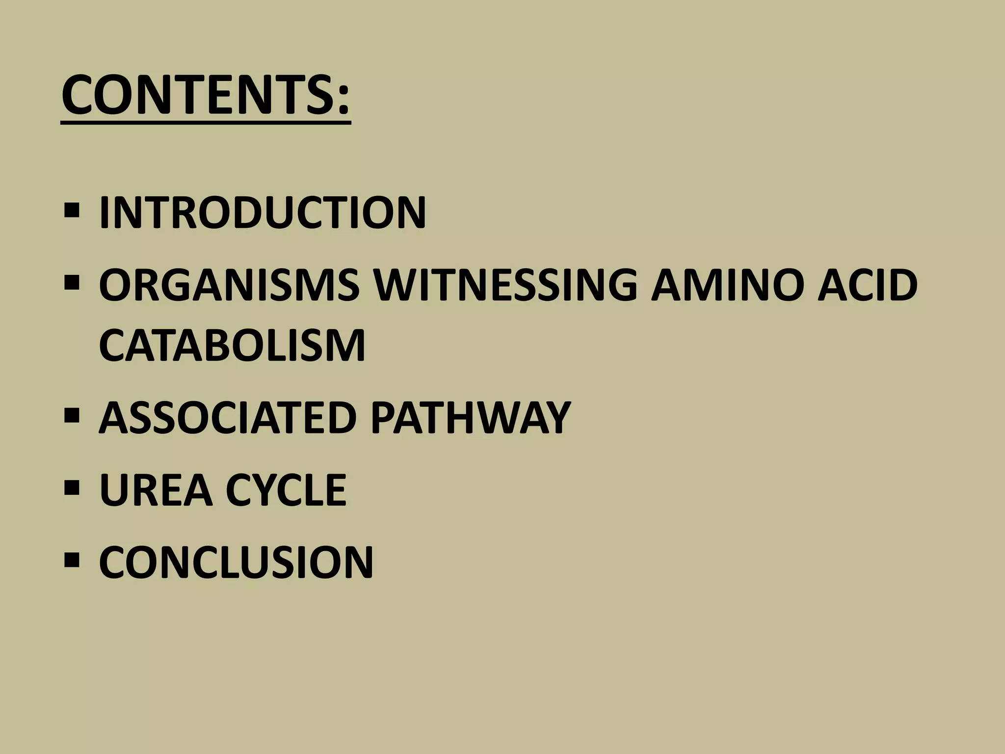 Enzymes involved in UREA CYCLE | PPTX | Chemistry | Science