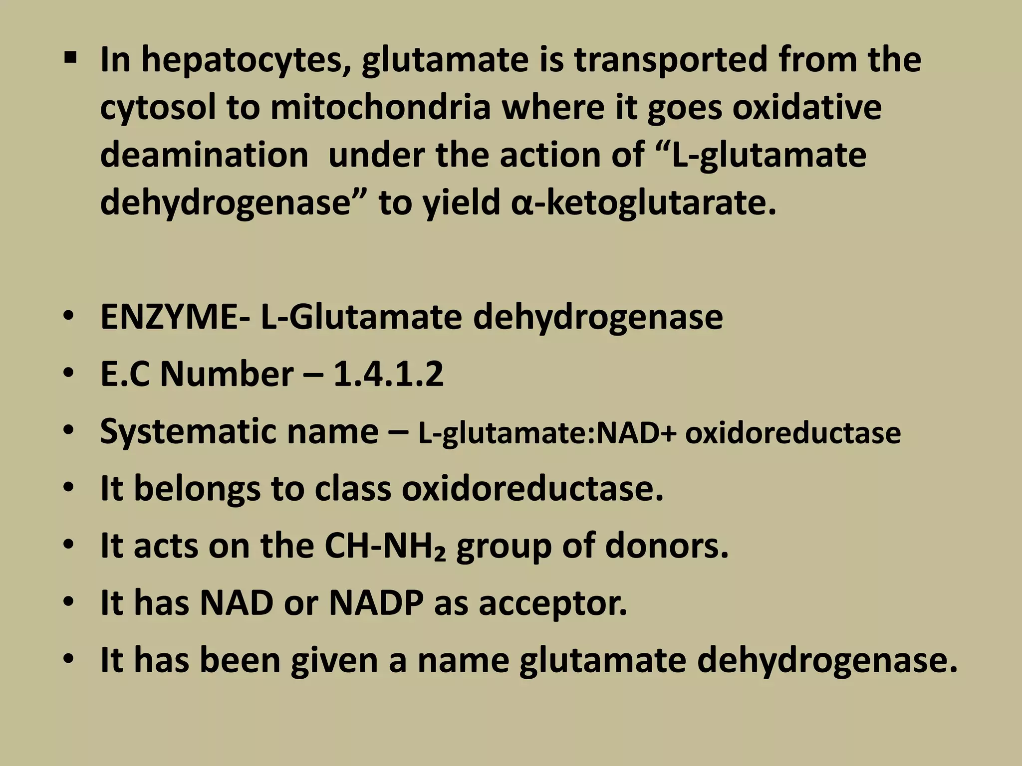 Enzymes involved in UREA CYCLE | PPTX | Chemistry | Science