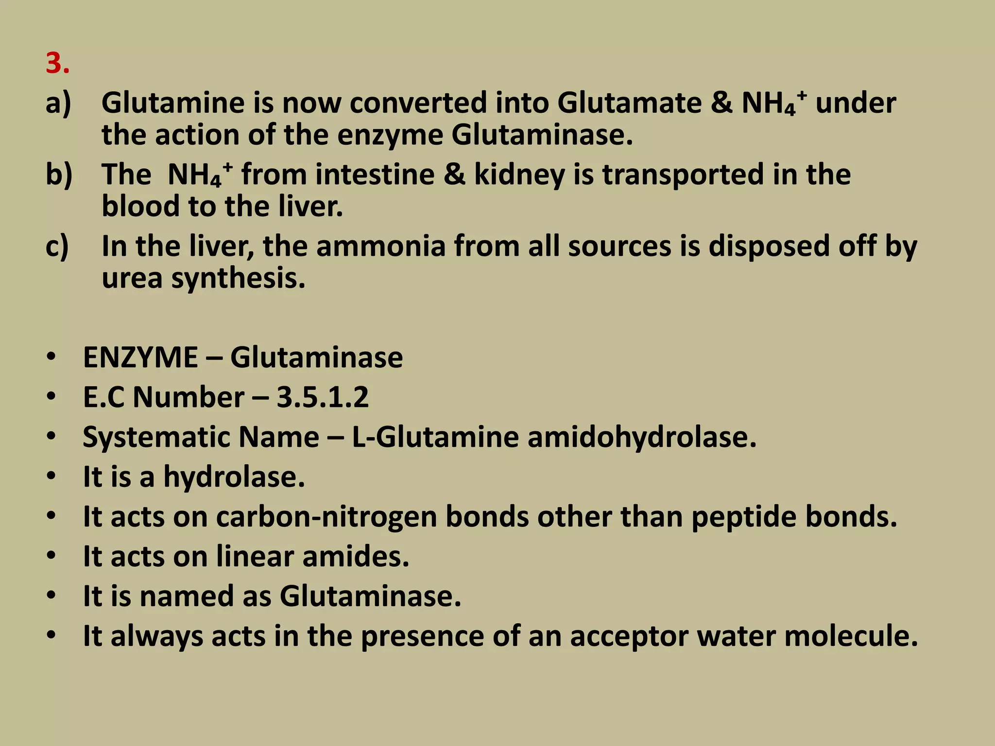 Enzymes involved in UREA CYCLE | PPTX | Chemistry | Science