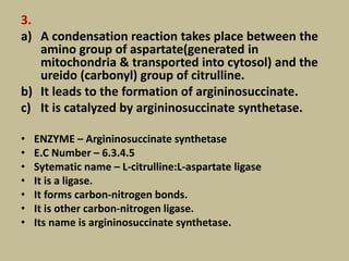 Enzymes involved in UREA CYCLE | PPTX