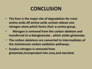 Enzymes involved in UREA CYCLE | PPTX | Chemistry | Science