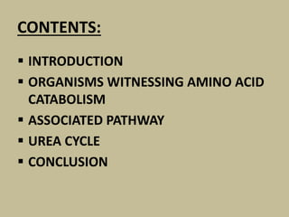 Enzymes involved in UREA CYCLE | PPTX | Chemistry | Science