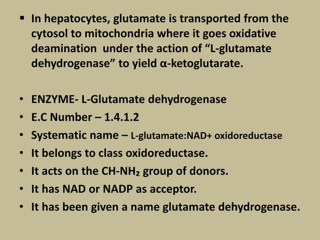 Enzymes involved in UREA CYCLE | PPTX | Chemistry | Science