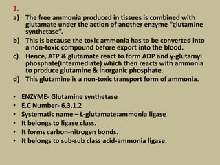 Enzymes involved in UREA CYCLE | PPTX | Chemistry | Science