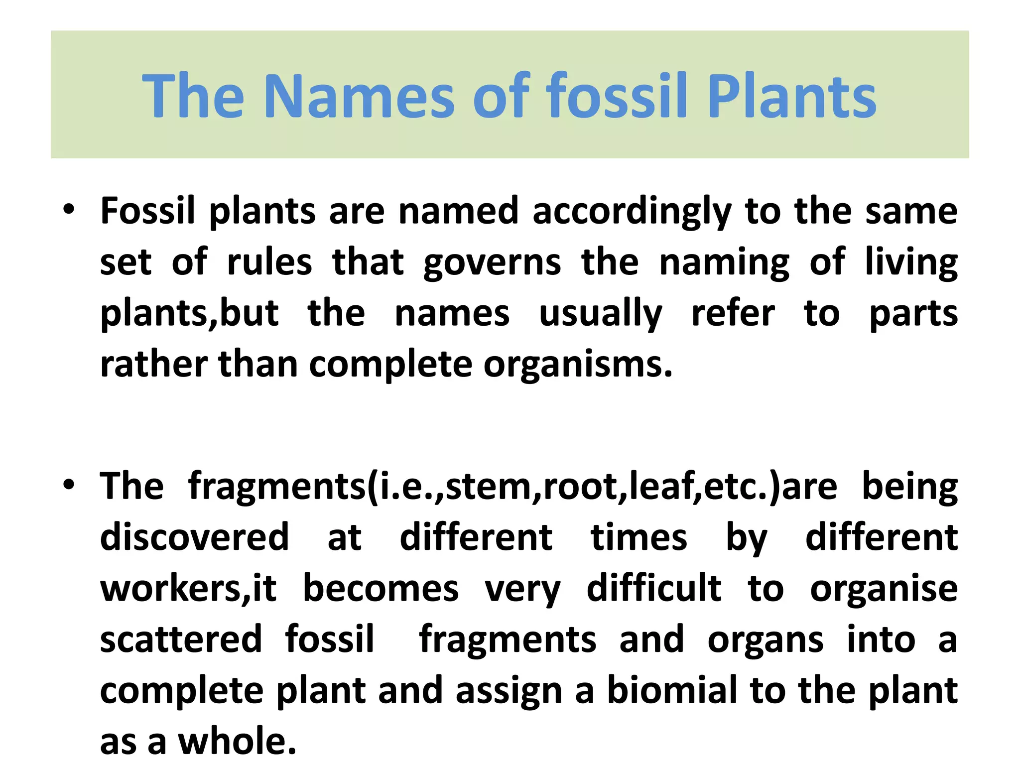 Nomenclature of fossils | PPTX