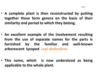 Nomenclature of fossils | PPTX