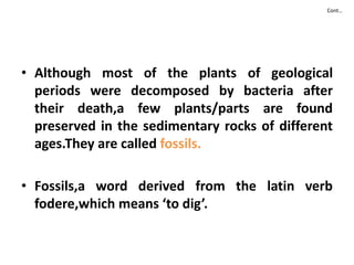 Nomenclature of fossils | PPTX