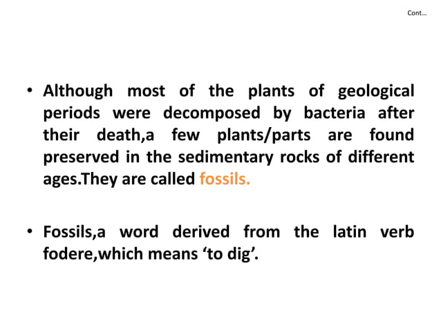 Nomenclature of fossils | PPTX