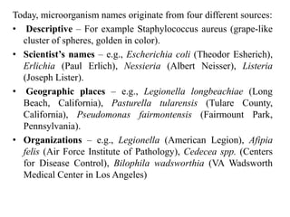 Nomenclature of microorganisms | PPTX