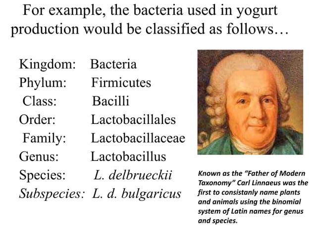 Nomenclature of microorganisms | PPTX