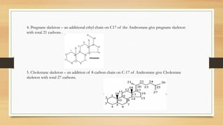 nomenclature of steroids ................. | PPTX