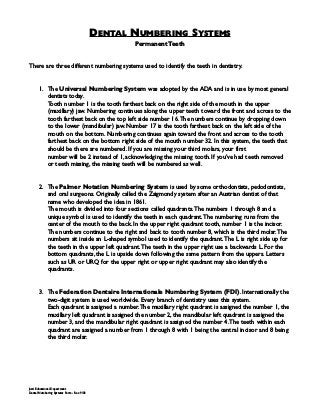 Nomenclature_Permanent_Teeth.pdf