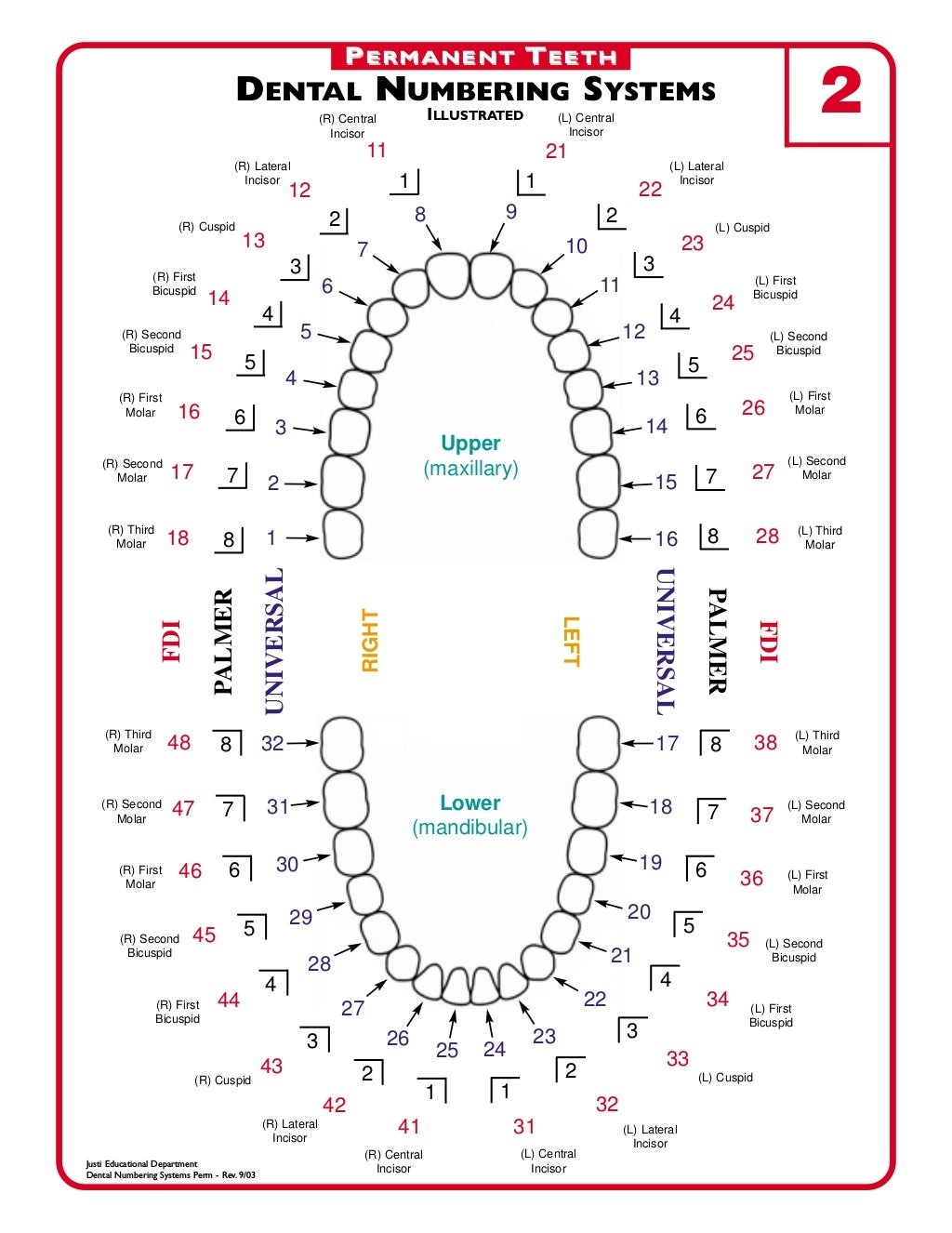Nomenclature_Permanent_Teeth.pdf
