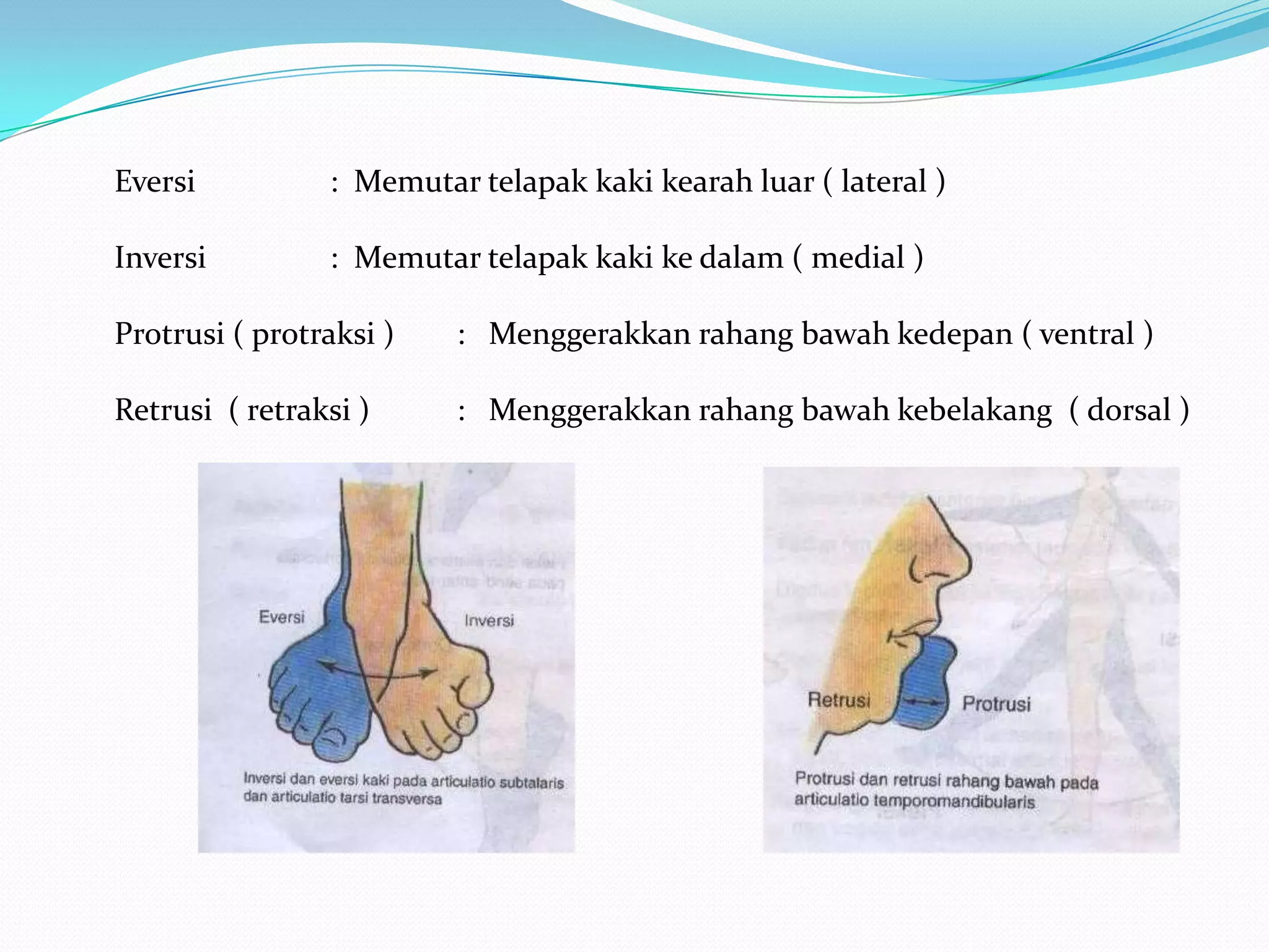Nomenklatur dlm bidang anatomi part 1 | PPTX
