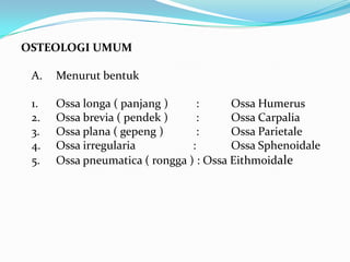 Nomenklatur dlm bidang anatomi part 1 | PPTX