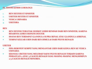 Nomenklatur dlm bidang anatomi part 1 | PPTX